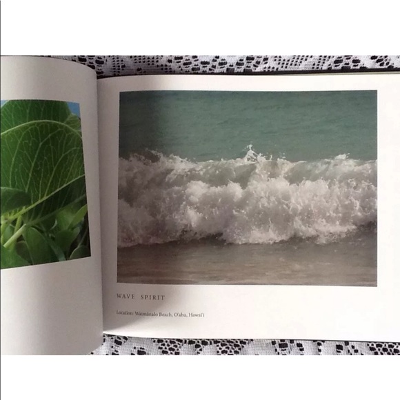 Robyn Singh | Accents | Haynes Creations Hawaii Coffee Table Book ...